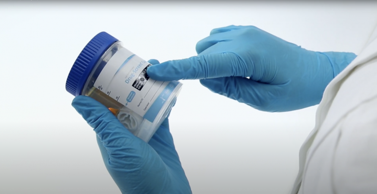 How to Deal With an Intoxicated Employee | Racoo Screening